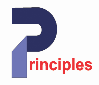 Principles Insurance Consultancy – Built with LibyanSpider